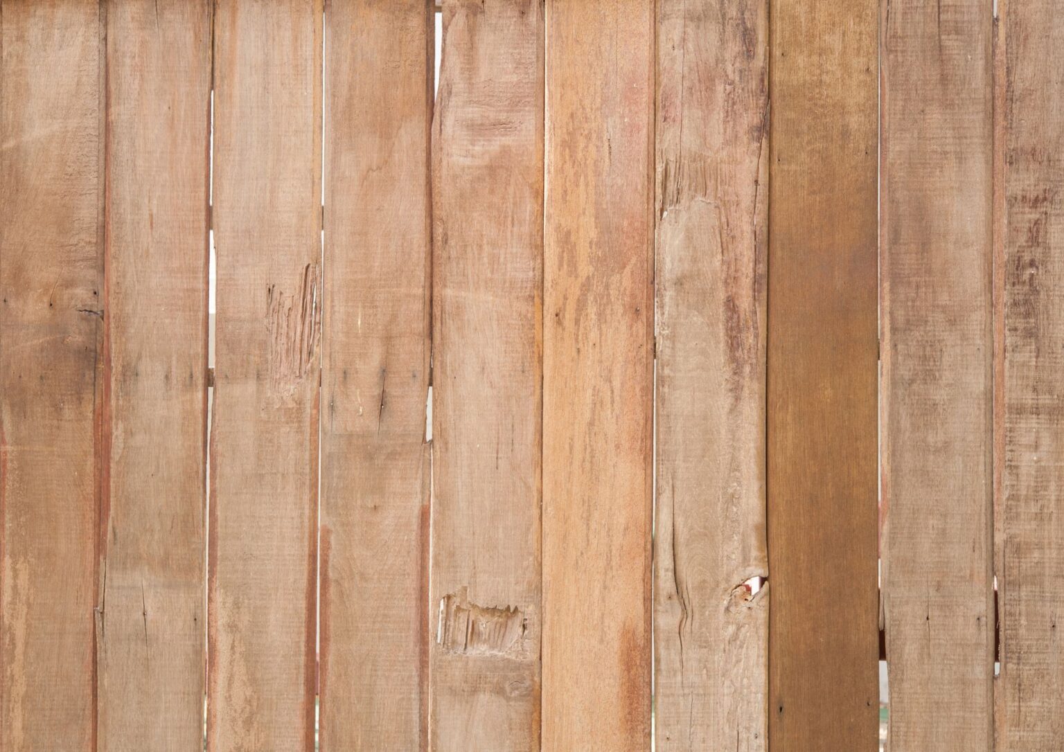 Eleva la estética de tu hogar: Descubre la elegancia de los paneles de ...