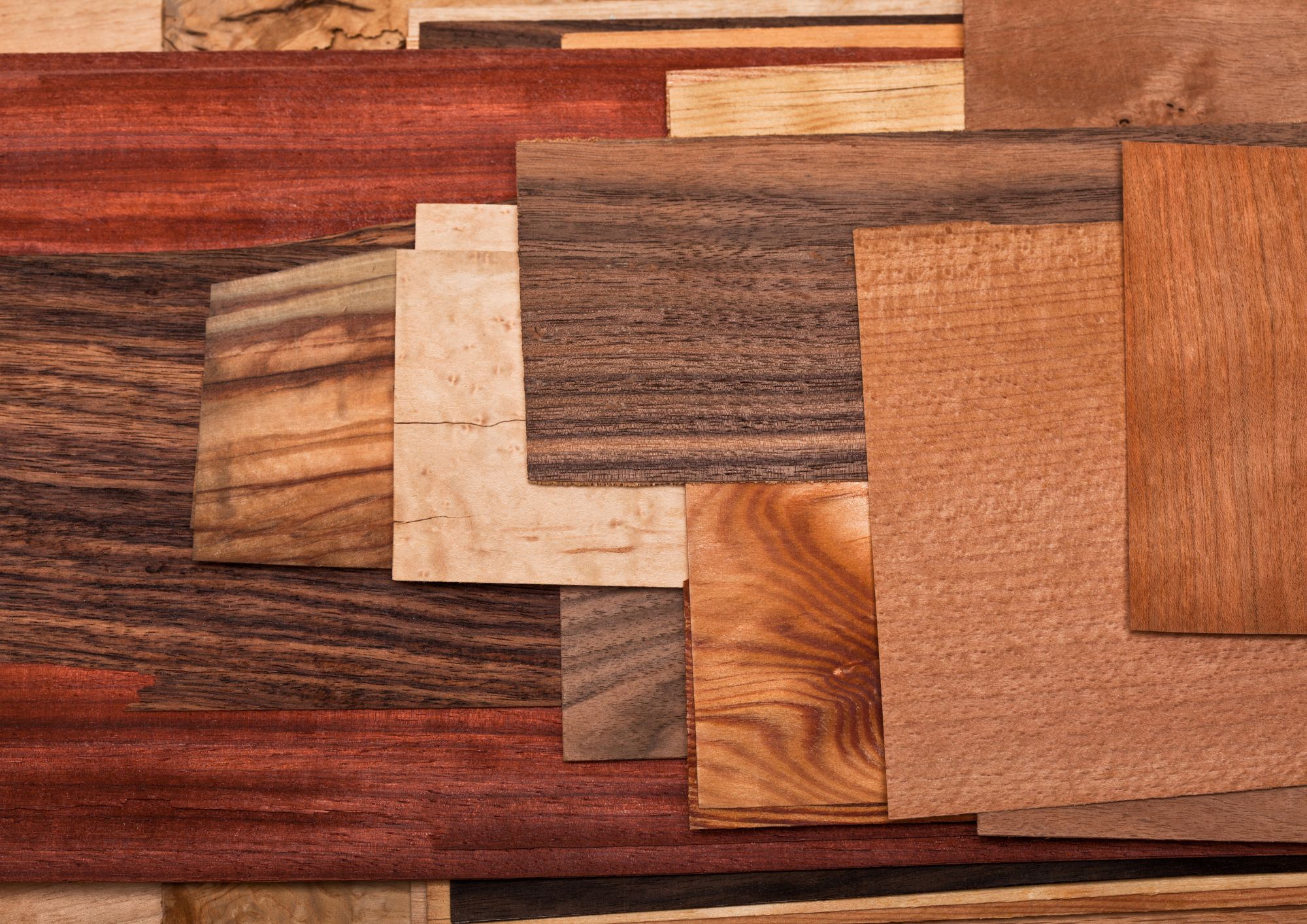 Autenticidad y durabilidad: Paneles únicos con madera natural para ...