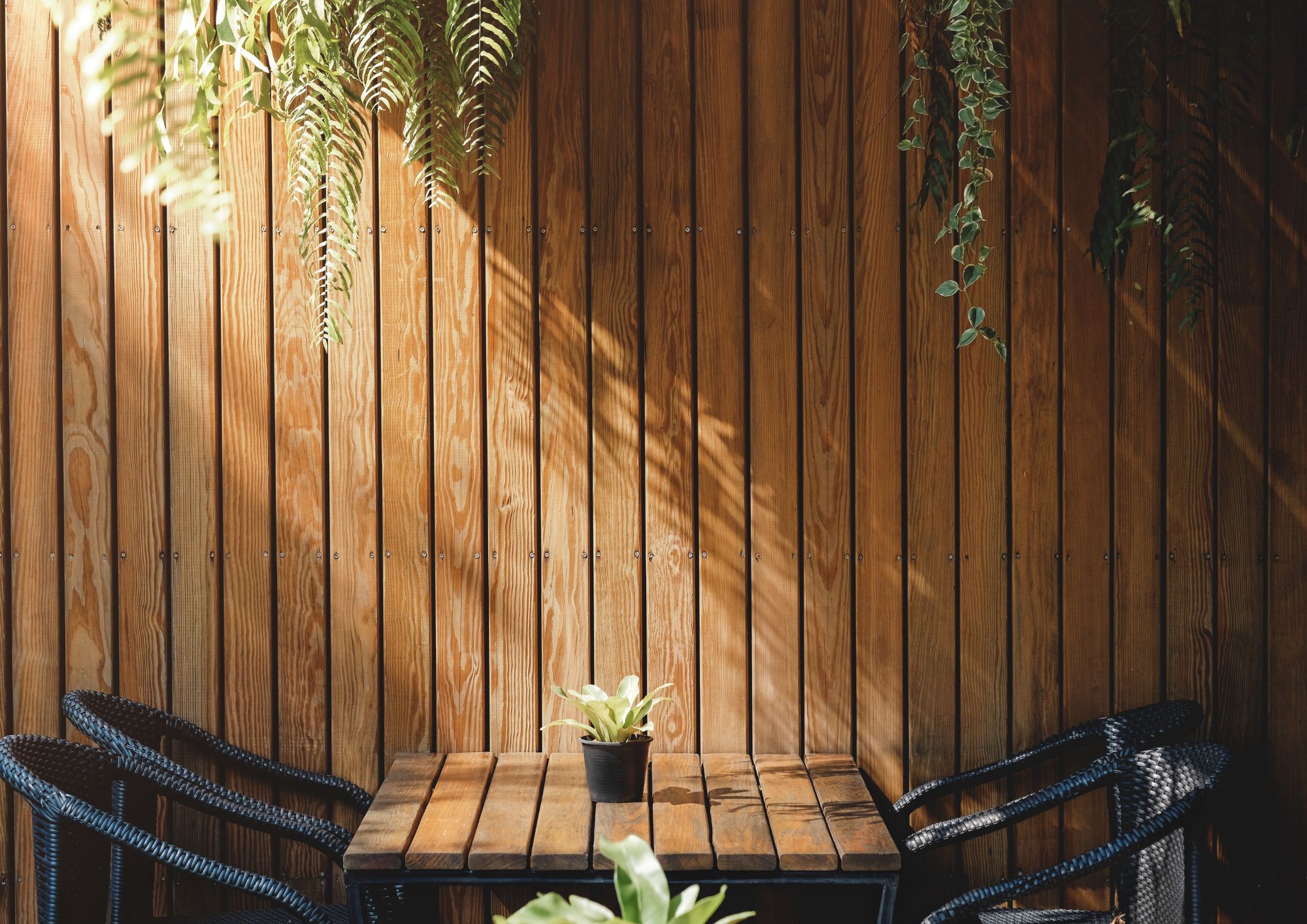 Explorando las tendencias emergentes: Planchas de madera para pared en ...